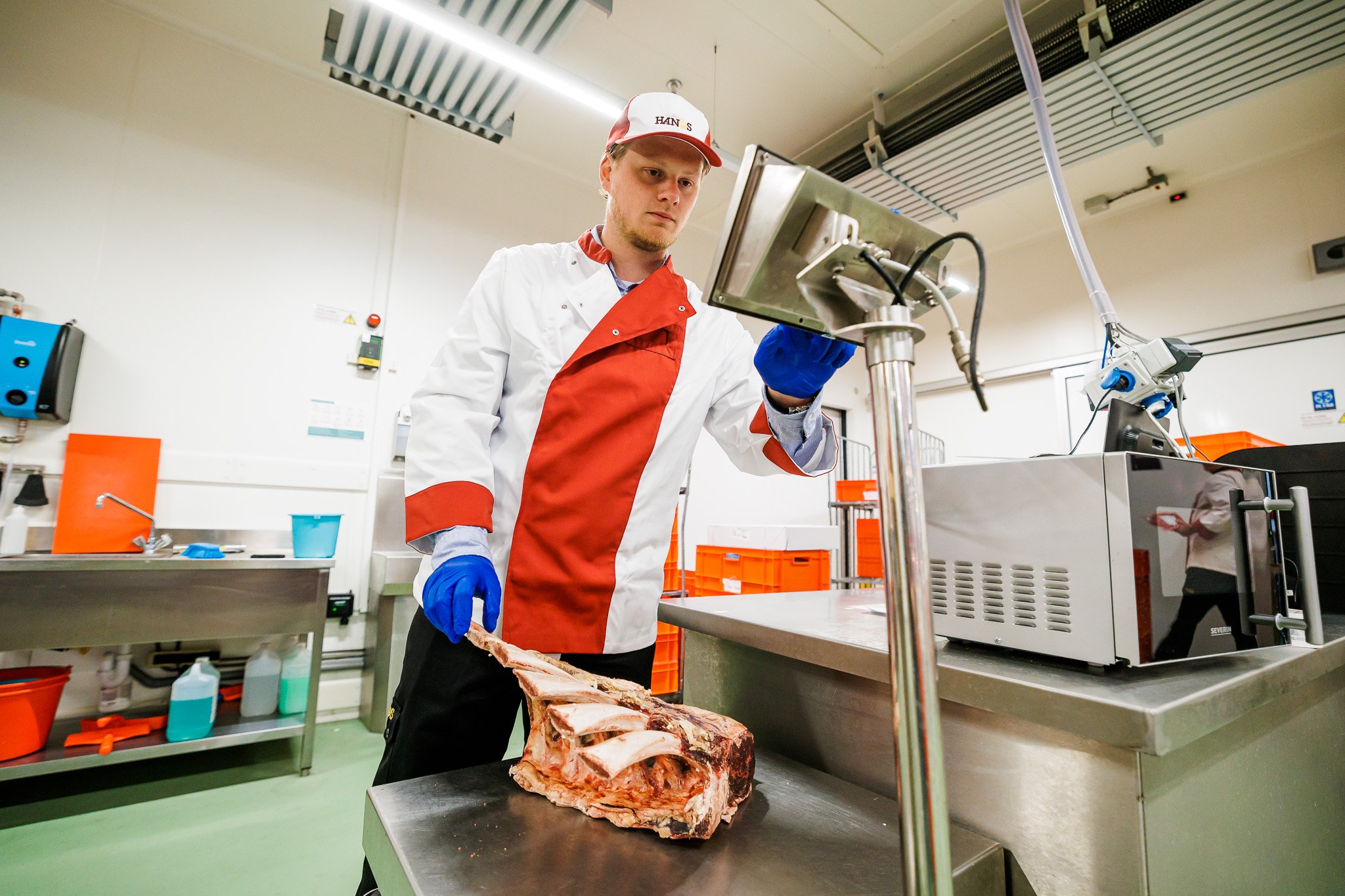 Certyfikaty Work Force - Work Force PL